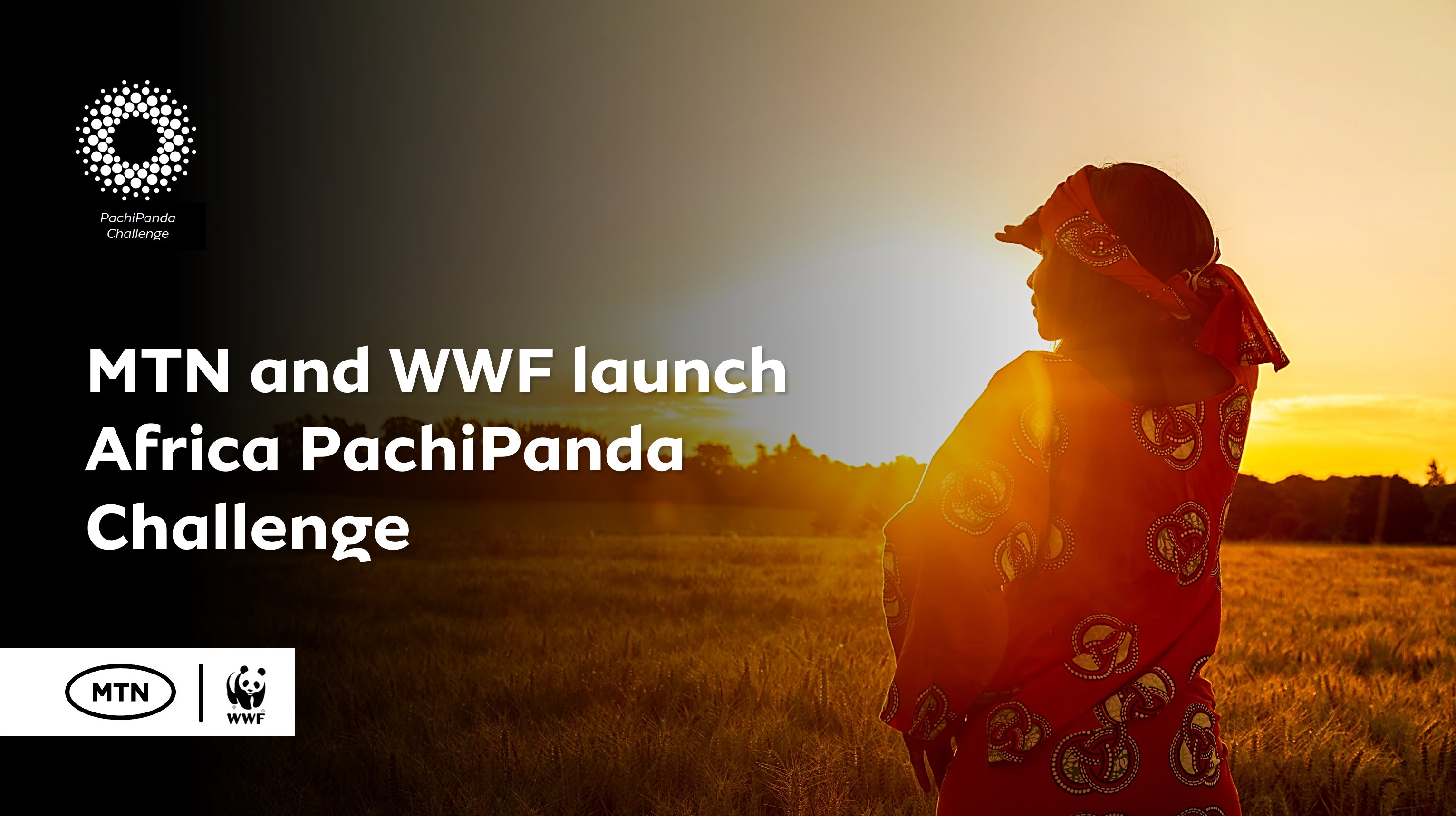 After Zambian success, MTN and WWF announce African PachiPanda Challenge