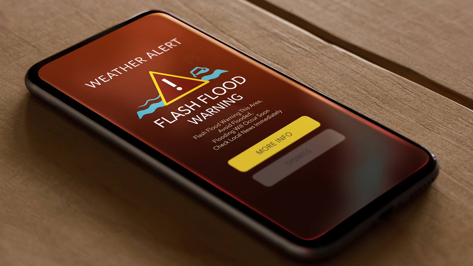 Case Studies Archive